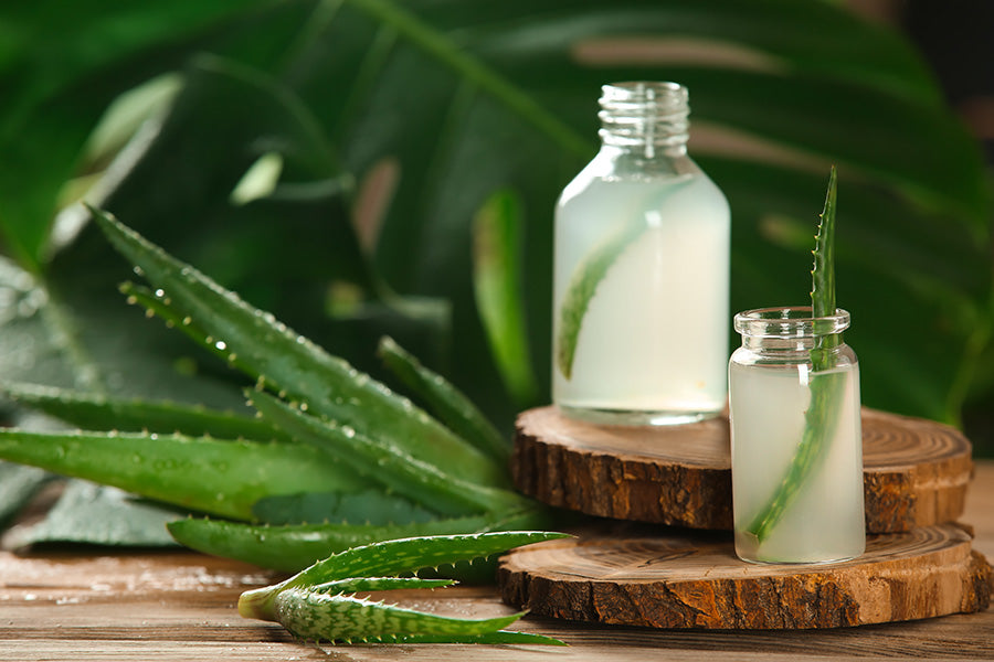 Is Botanic Skincare for You – SkinMD Online Store